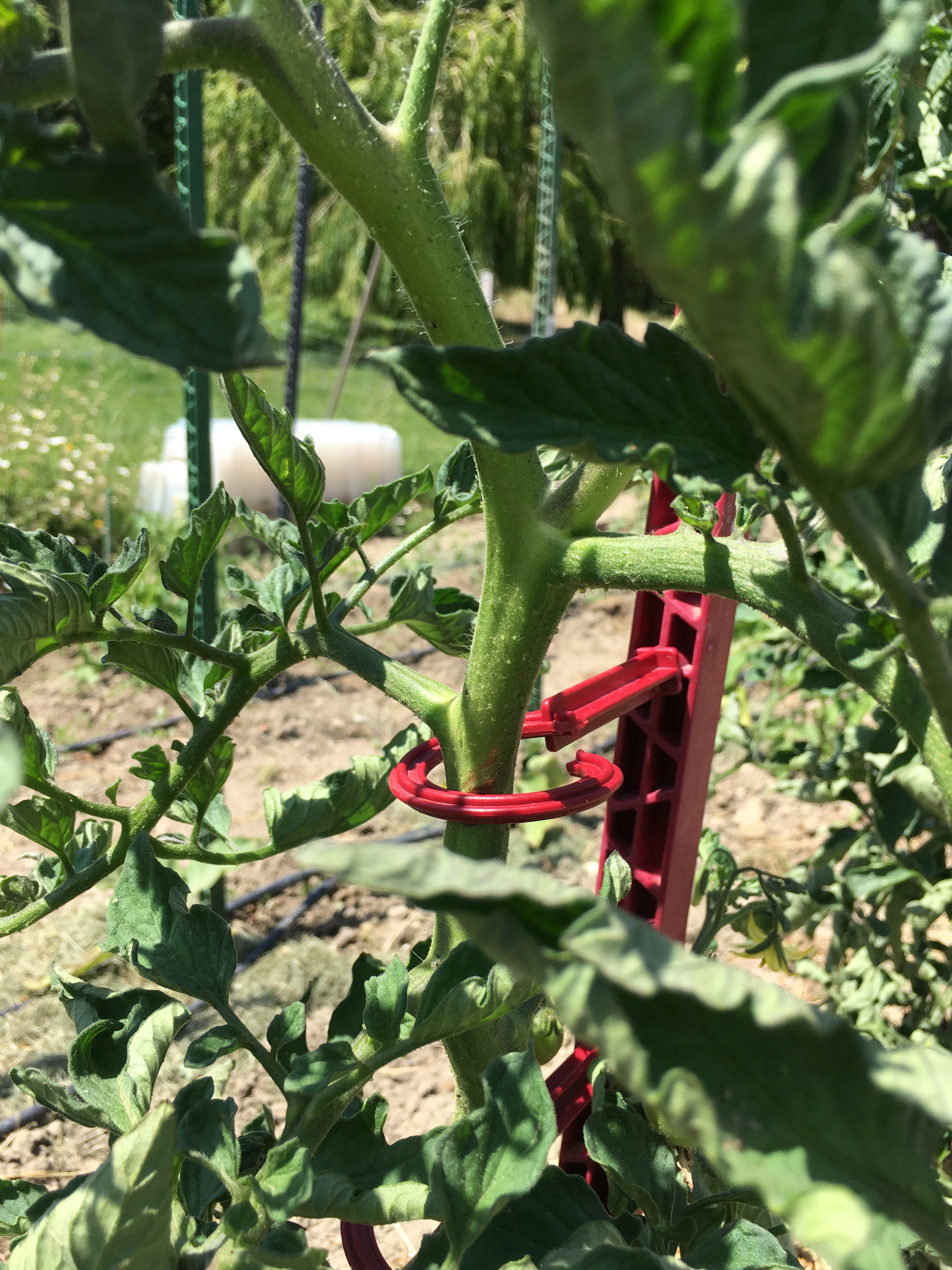 Gamme Mikado – MVI Shop